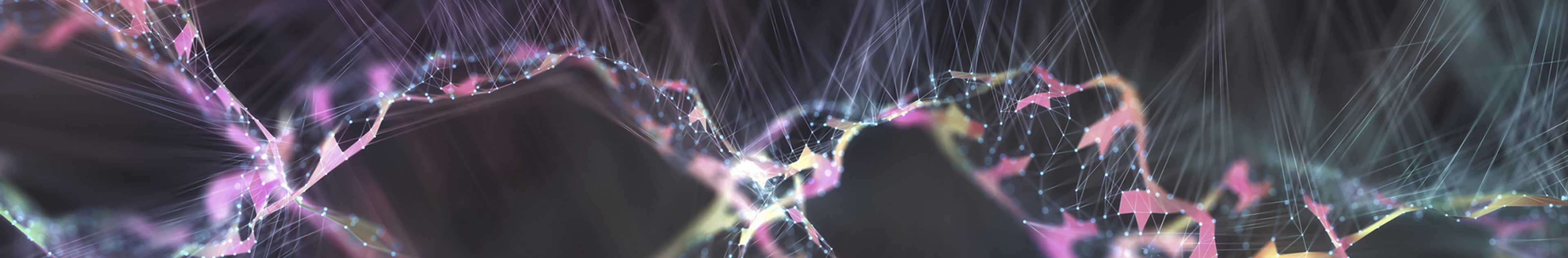 About Bio-Path - BioPath Holdings