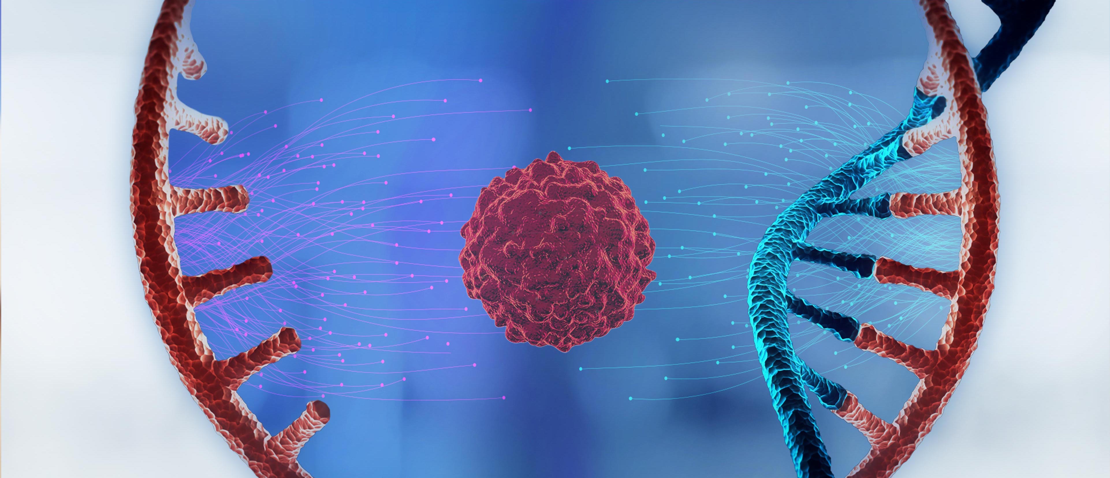 Home - BioPath Holdings